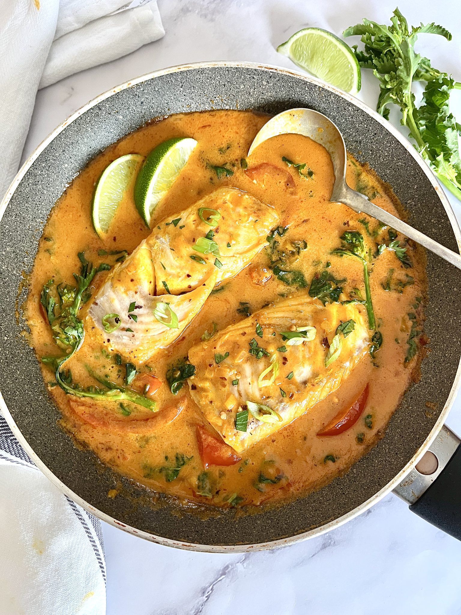 Thai Fish Curry Recipe - The Hungary Soul